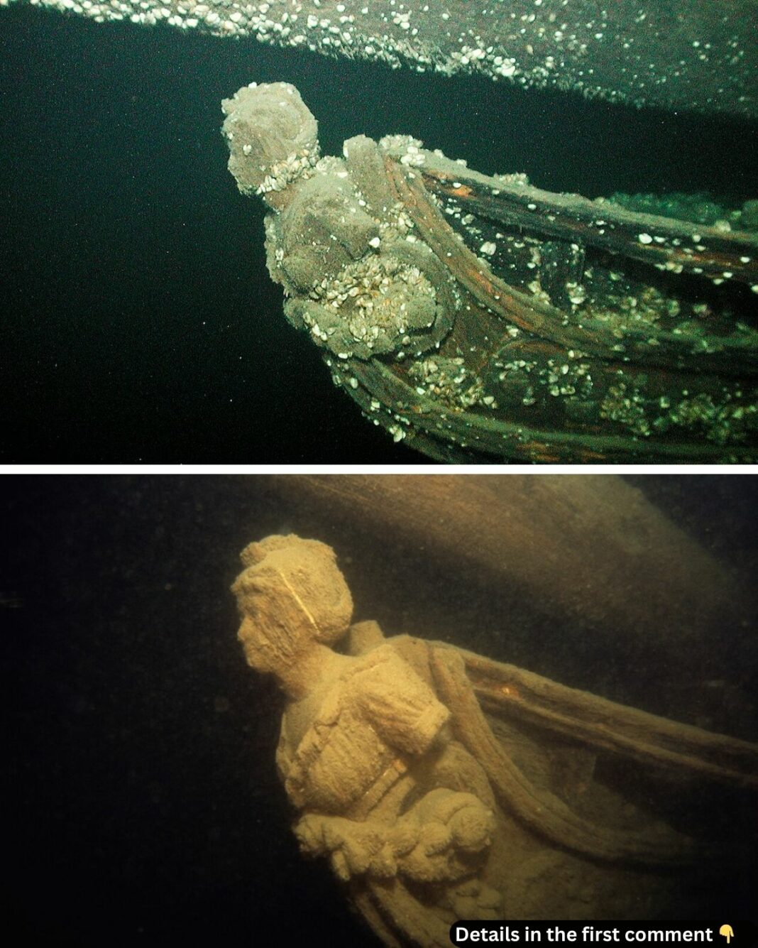 Ghost Ships of 1813: The Tragic Tale of Hamilton and Scourge in Lake ...